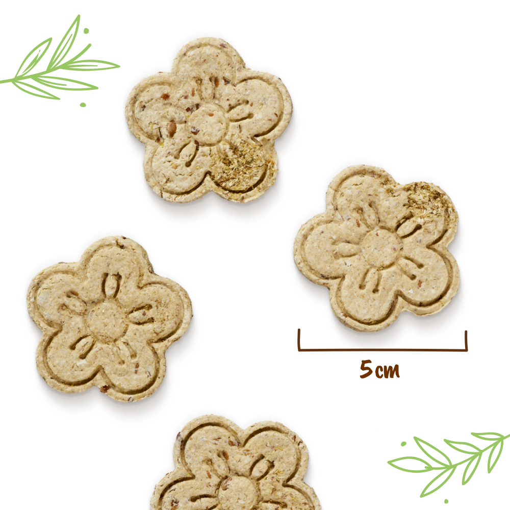 Bloom Bites - Horseflex