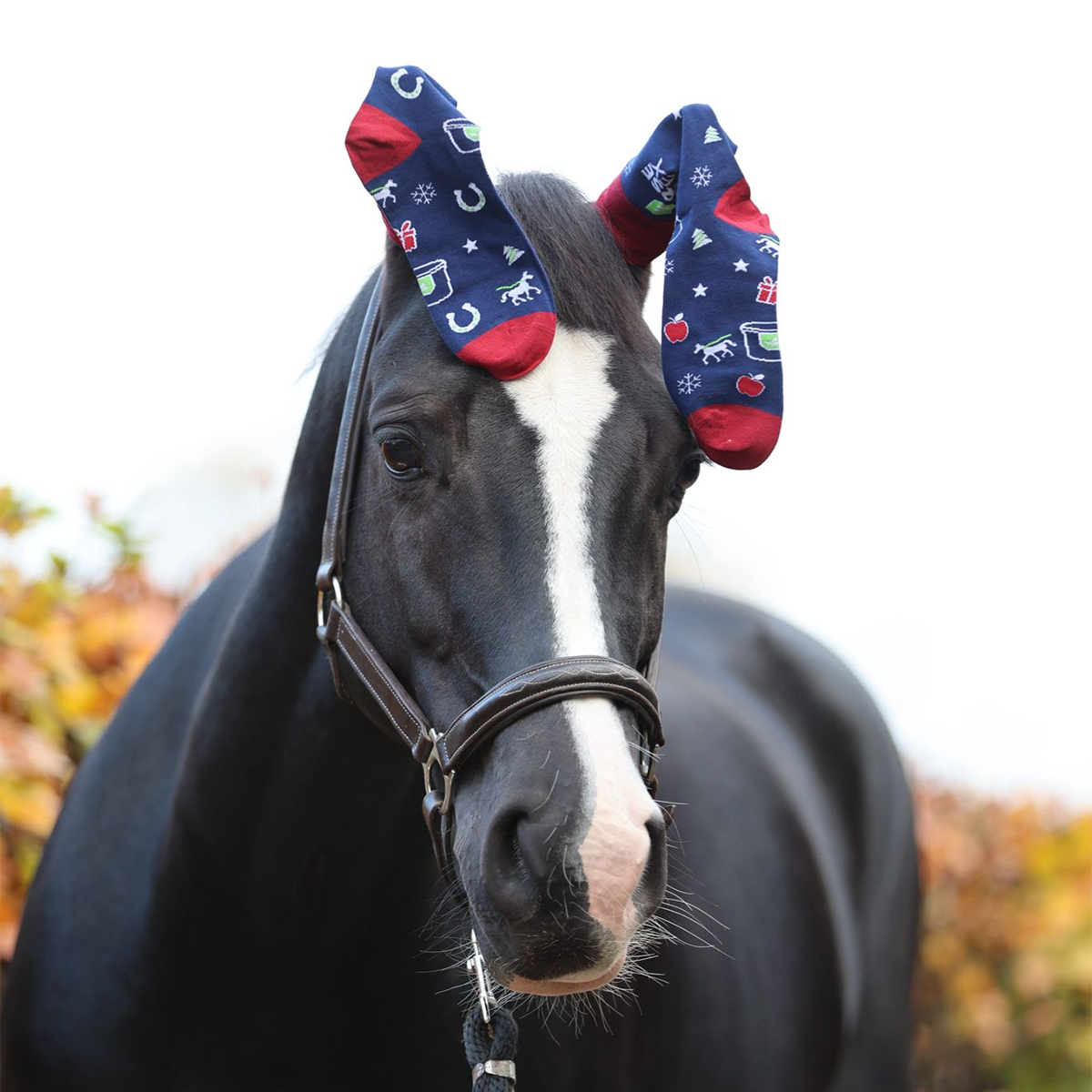 HorseFlex Kerstsokken - Voor iedereen die gek is op paarden